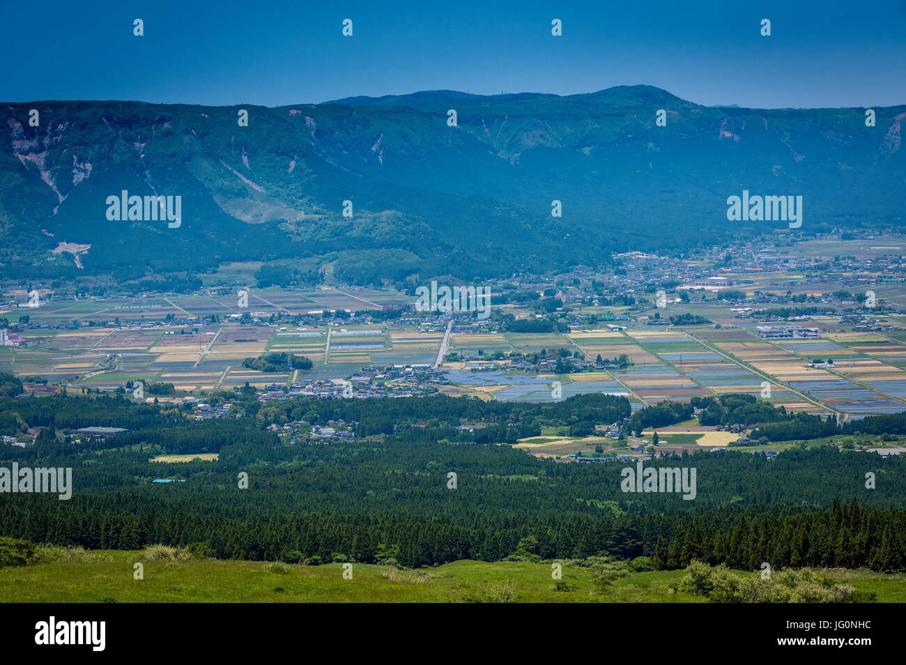 Open rice fields hi-res stock photography and images - Alamy