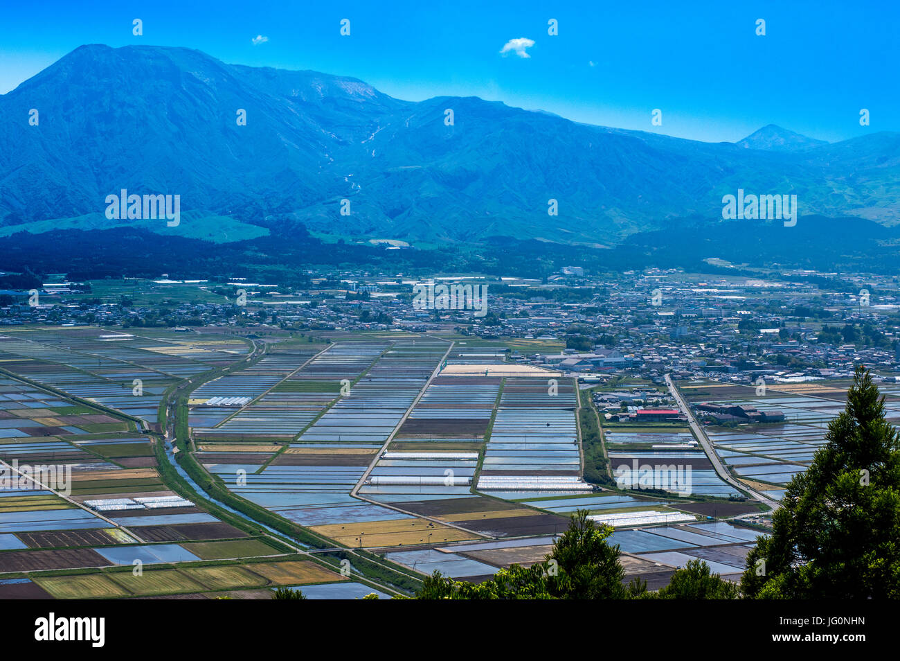 Open rice fields hi-res stock photography and images - Alamy