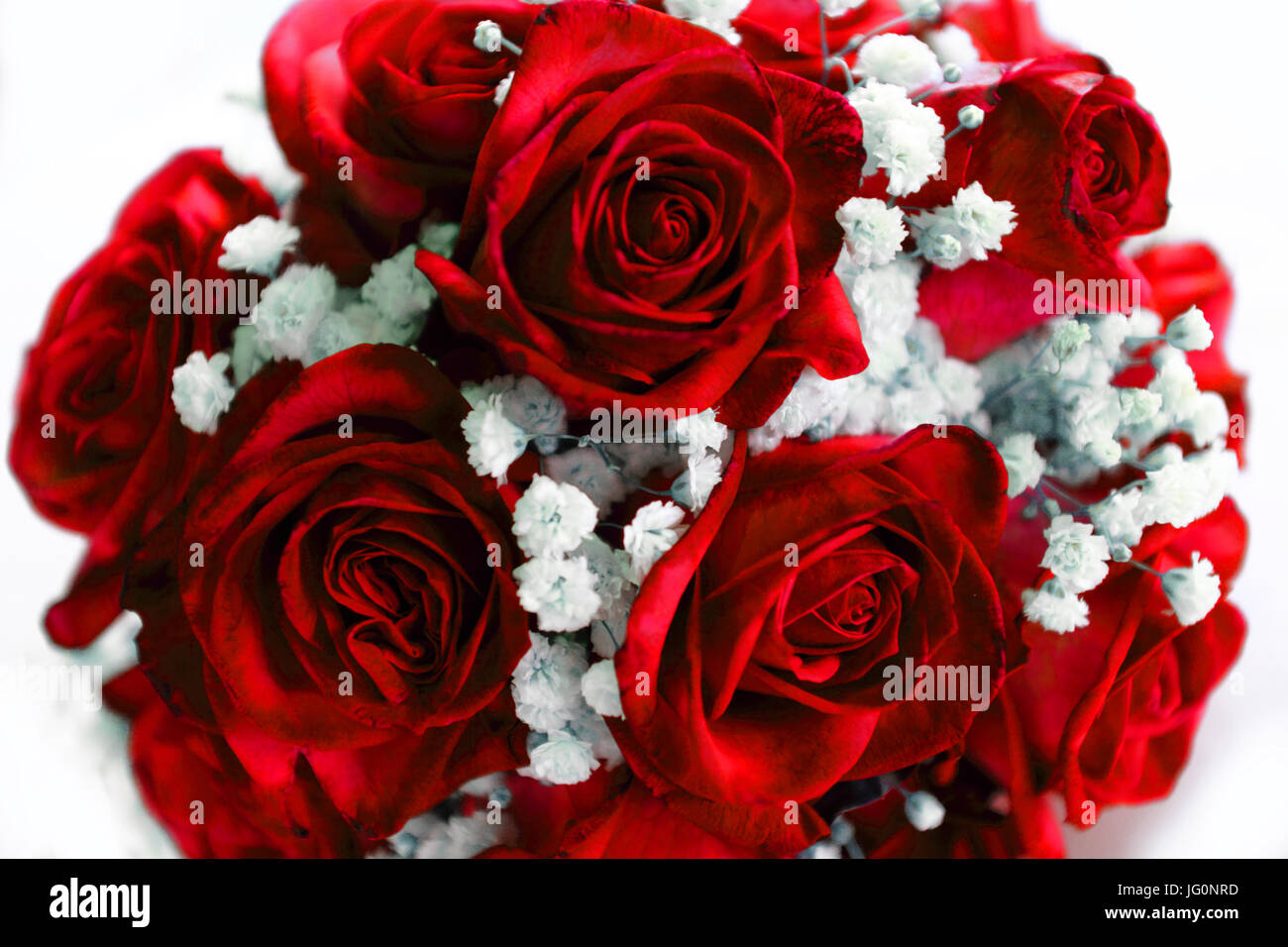 Bouquet of red roses, on a white background Stock Photo - Alamy