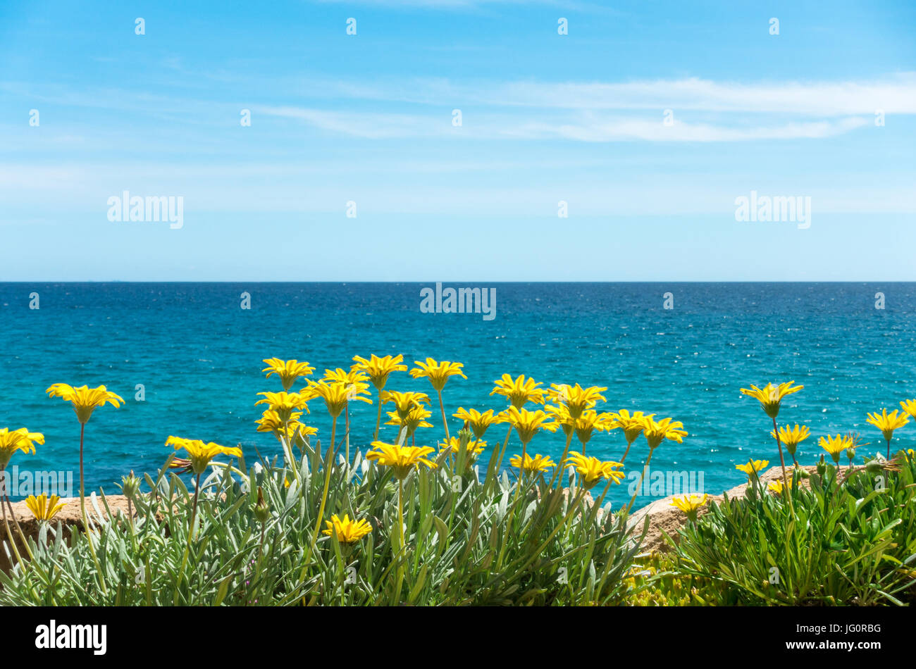 Blue sea flower sea view with flower hi-res stock photography and ...