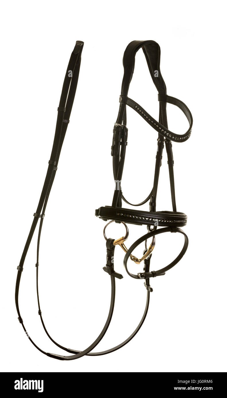 White bridle Cut Out Stock Images & Pictures - Alamy