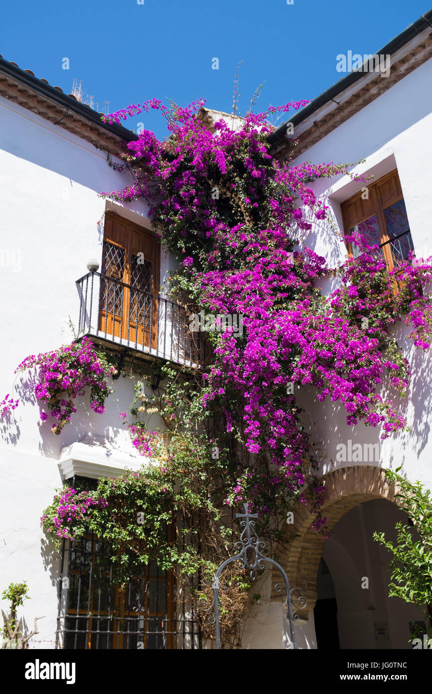 Corner Courtyard Stock Photos & Corner Courtyard Stock Images - Alamy