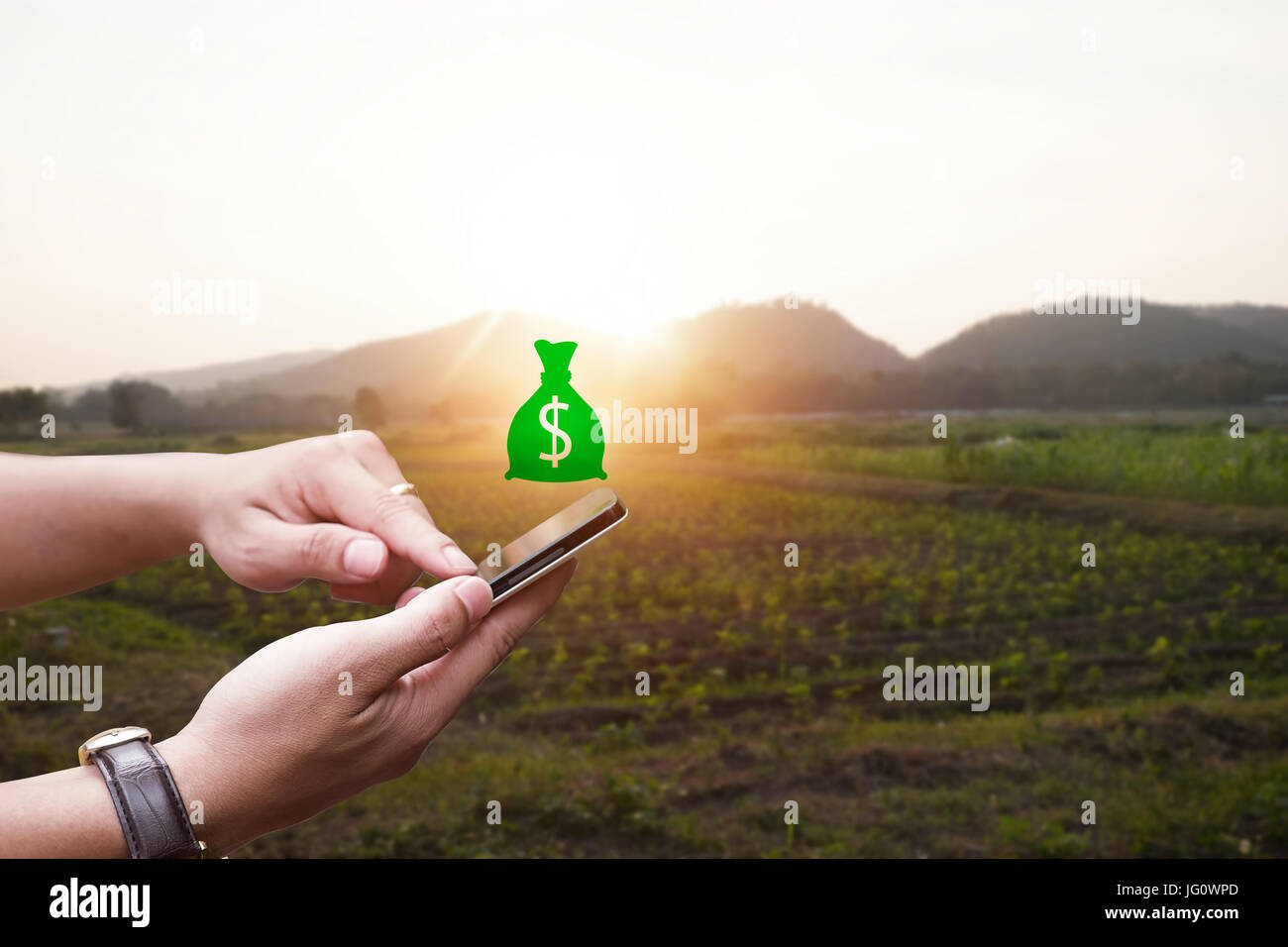Hand holding smartphone with trade agriculture product,digital trade ...