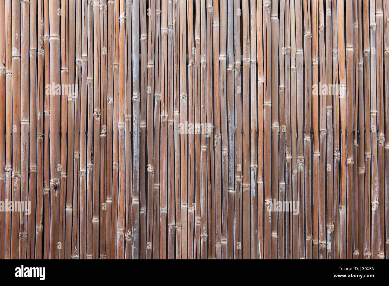 Background of dry bamboo vertical Stock Photo - Alamy