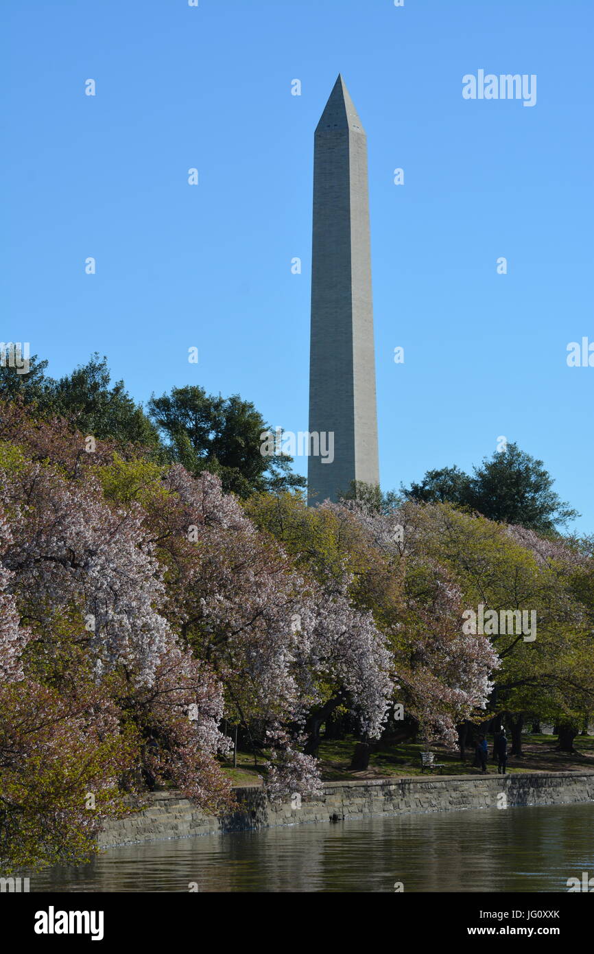 Washington Monument in Washington D.C. in the Springtime during the ...