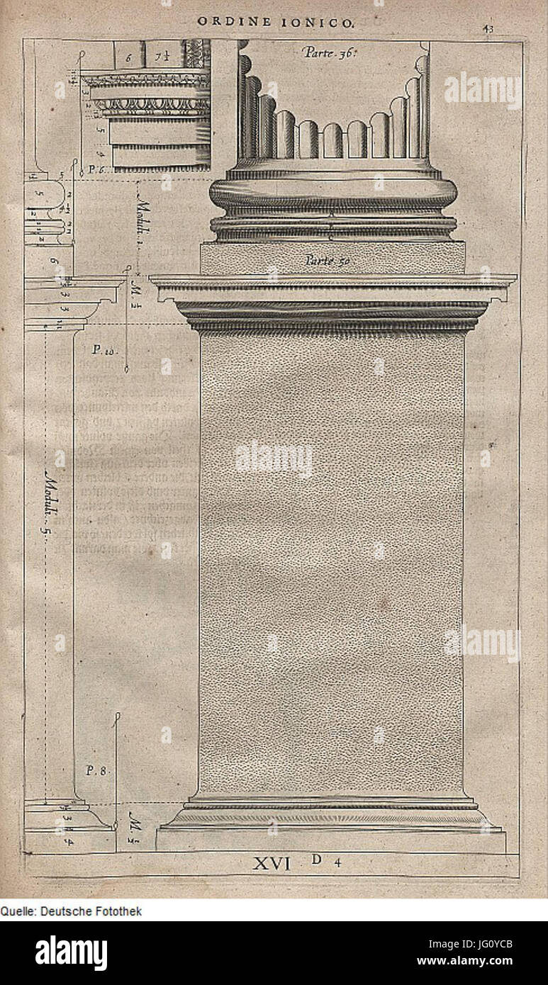 An architectural illustration showcasing the Ionic order, detailing the ...