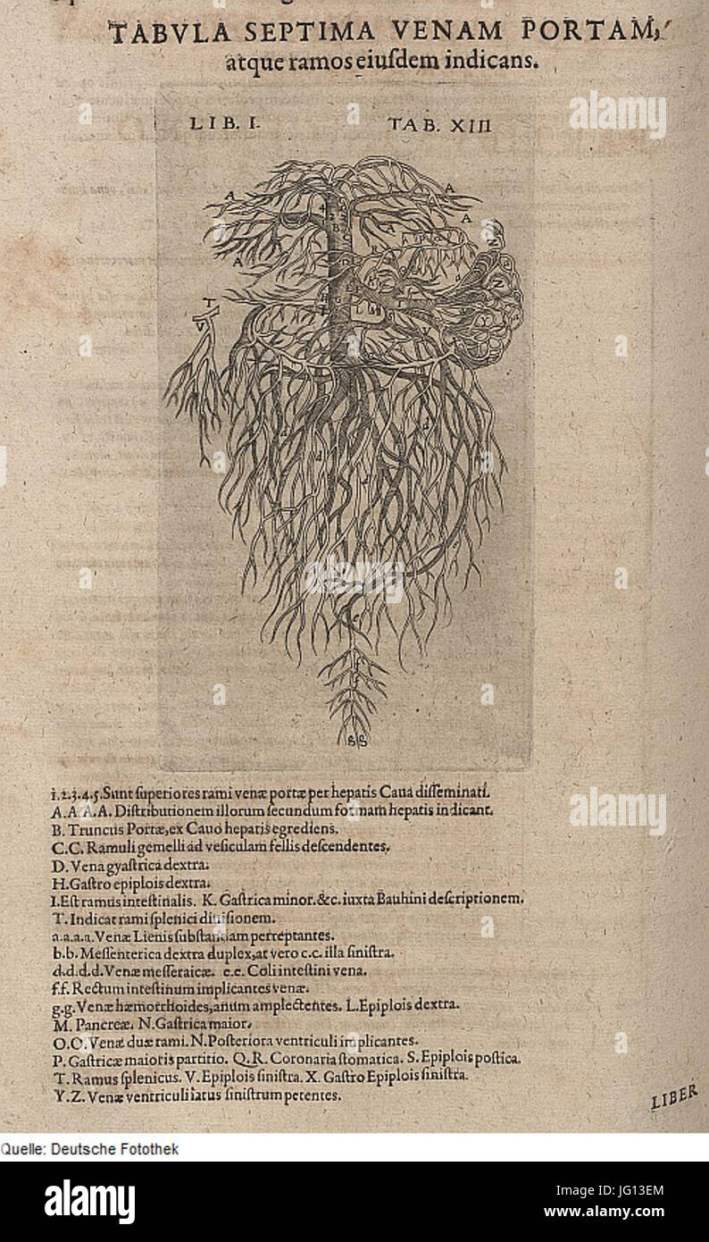 Anatomie biologie hi-res stock photography and images - Alamy