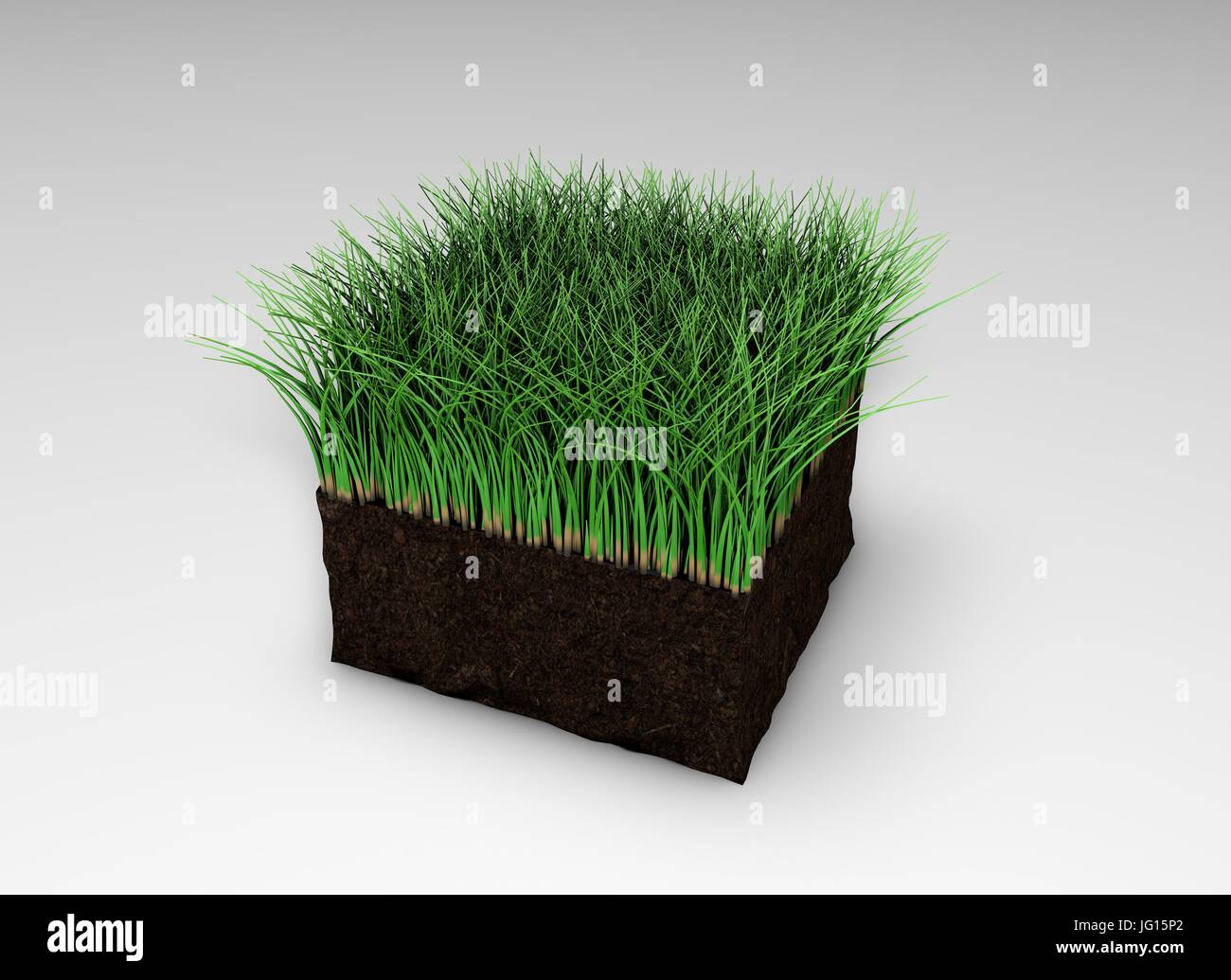 3D rendering, lawn grass 3D illustration, turf athletic fields ...