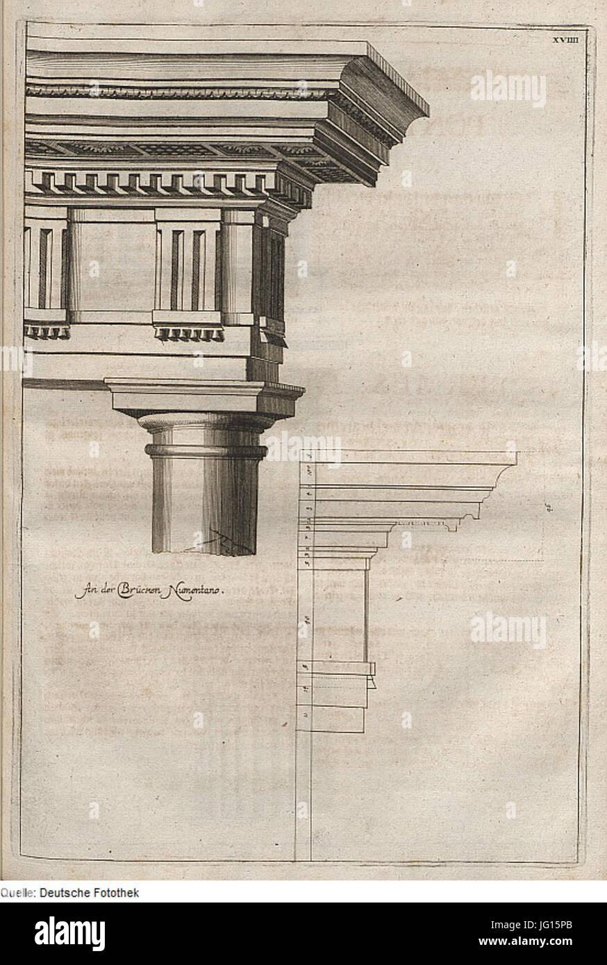 Fotothek df tg 0007999 Architektur 5E Gebälk 5E Triglyphe 5E Metope 5E ...