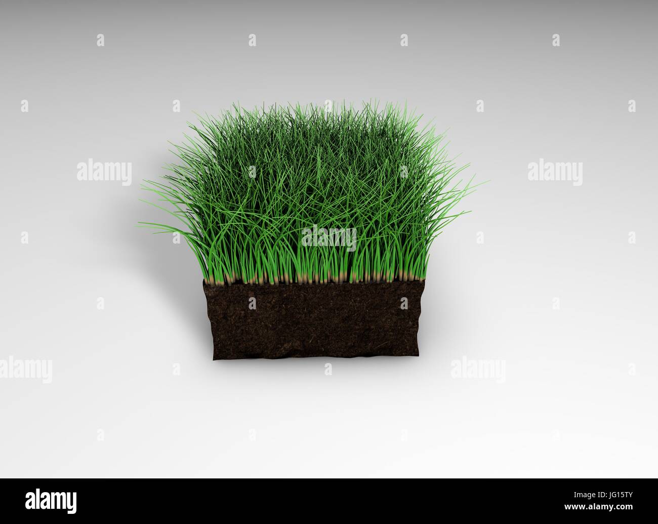 3D rendering, lawn grass 3D illustration, turf athletic fields ...