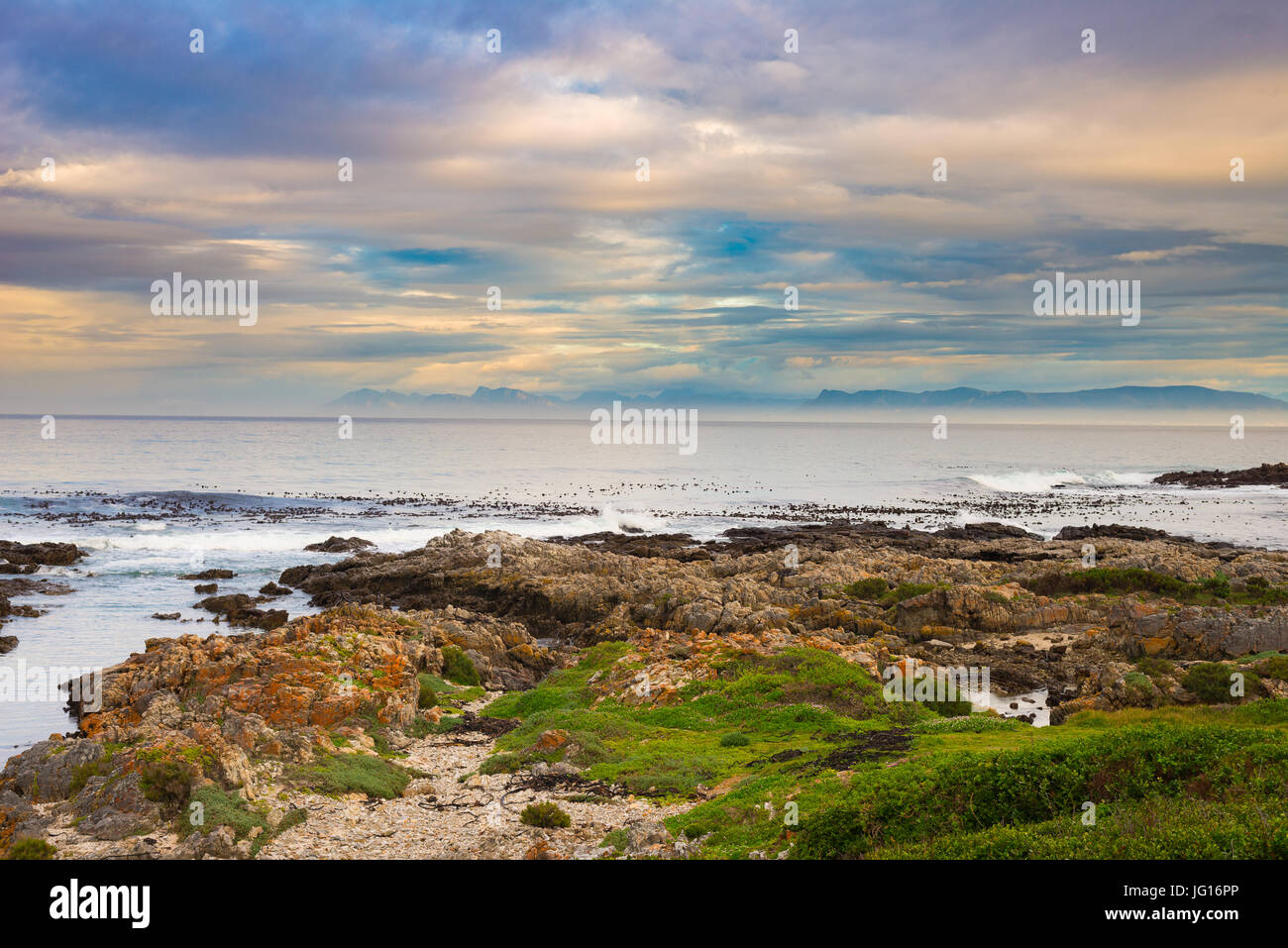 Rocky coast line on the ocean at De Kelders, South Africa, famous for whale watching. Winter ...