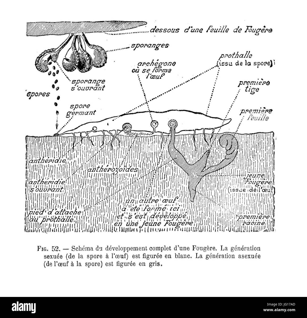 Map of fougeres hi-res stock photography and images - Alamy