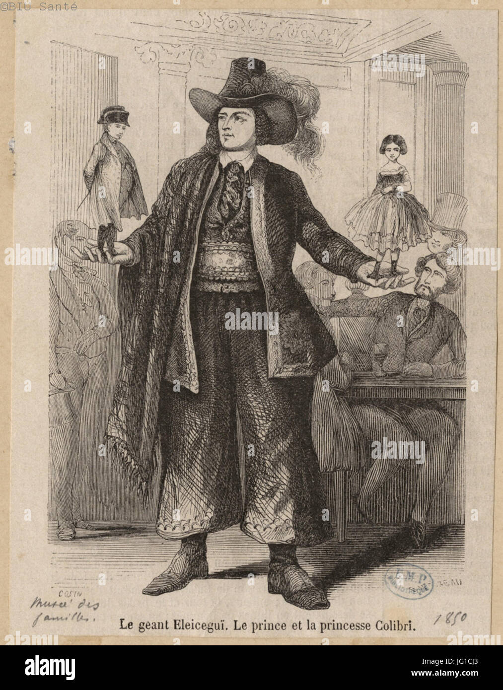 éléphant géant hi-res stock photography and images - Alamy