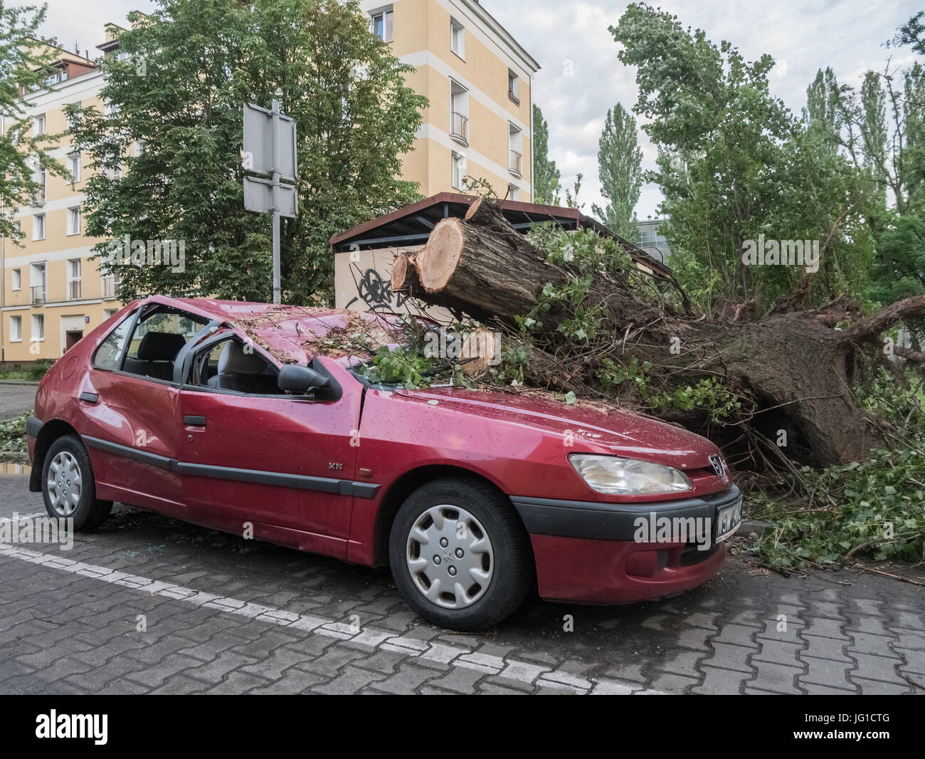 Car crashed into tree hi-res stock photography and images - Alamy