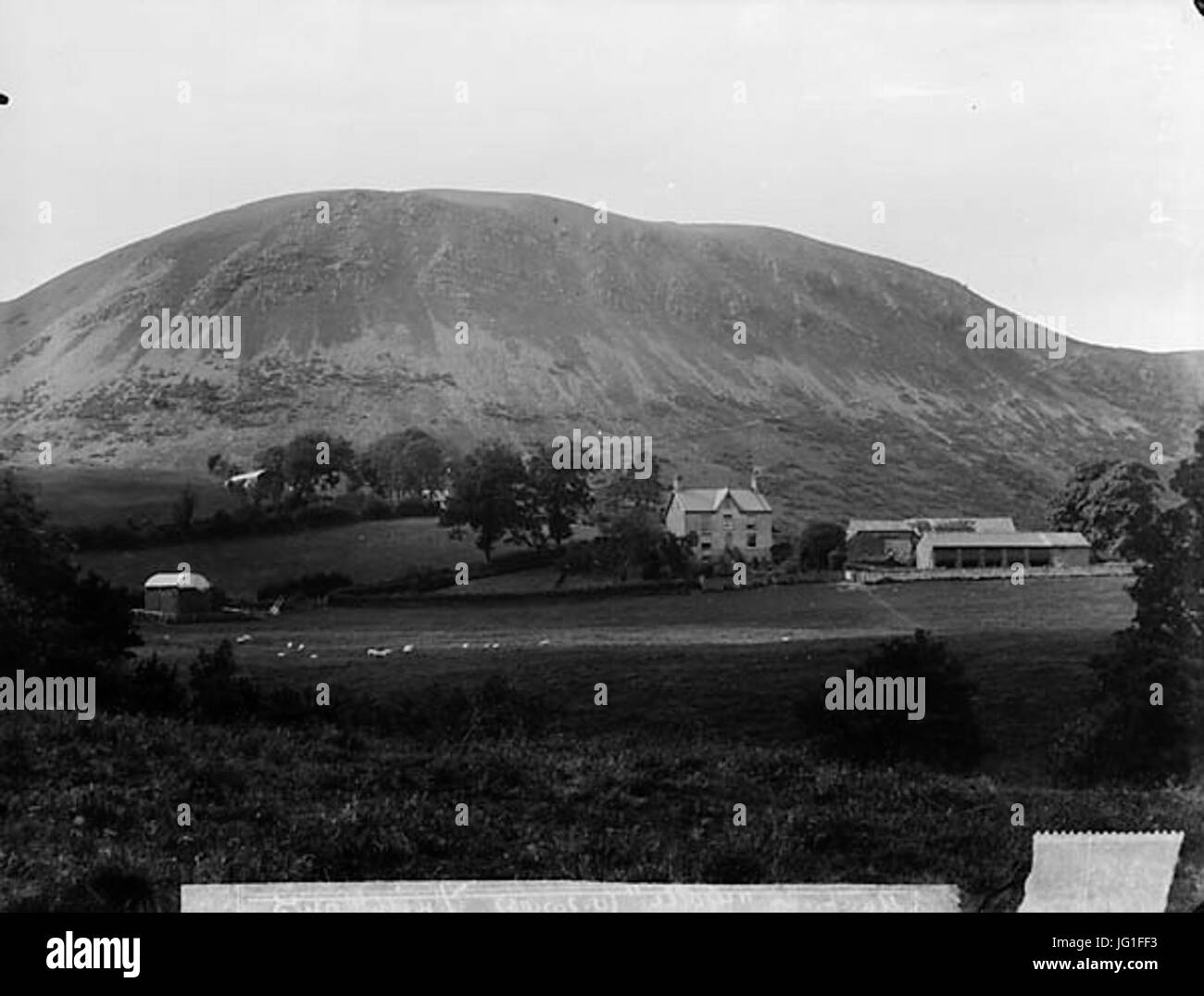 'gelli Black and White Stock Photos & Images - Alamy