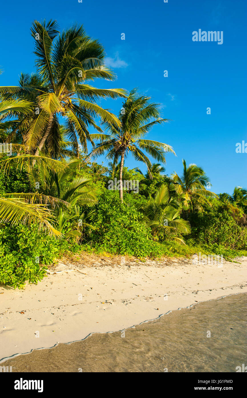 Oarsman bay fiji hi-res stock photography and images - Alamy