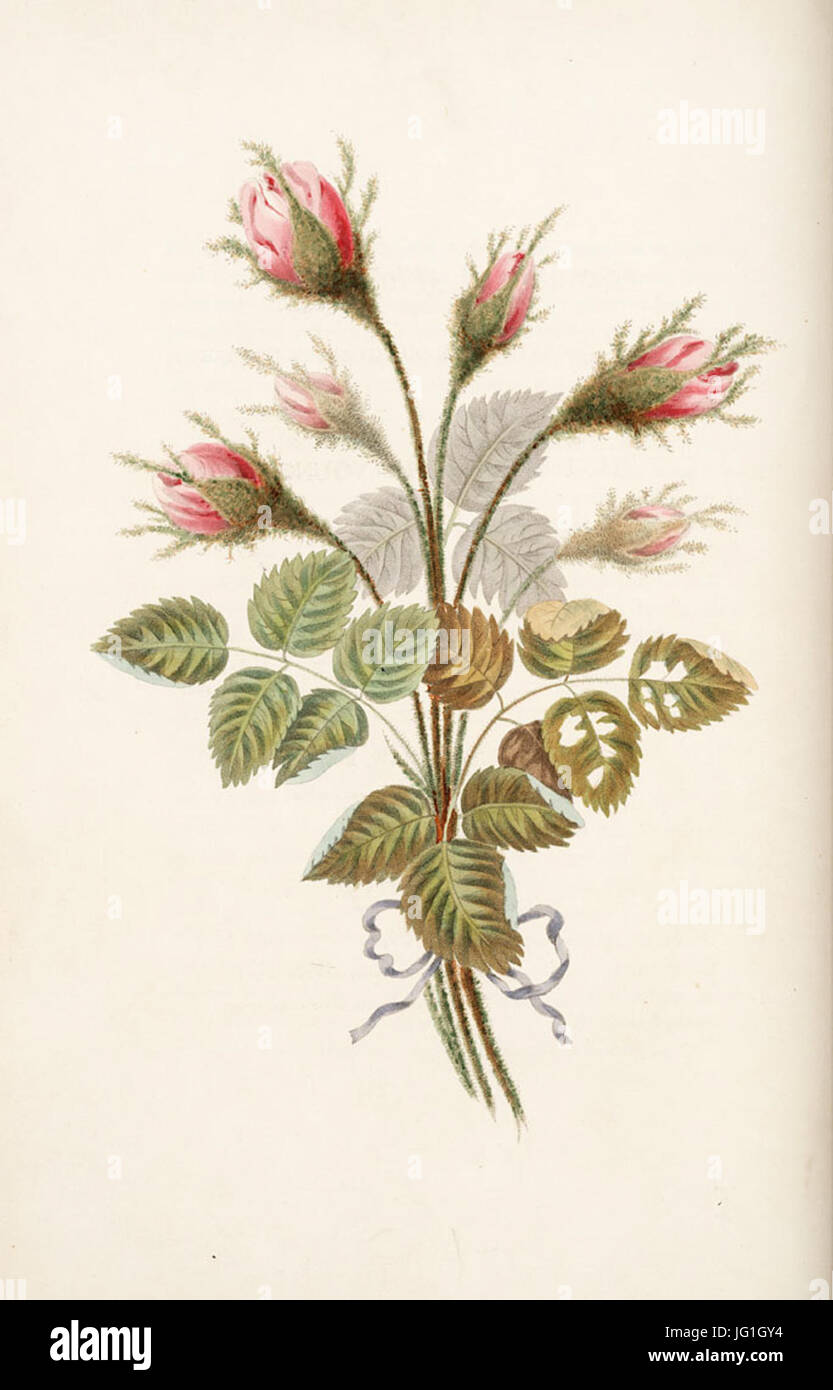 George brookshaw art hi-res stock photography and images - Alamy