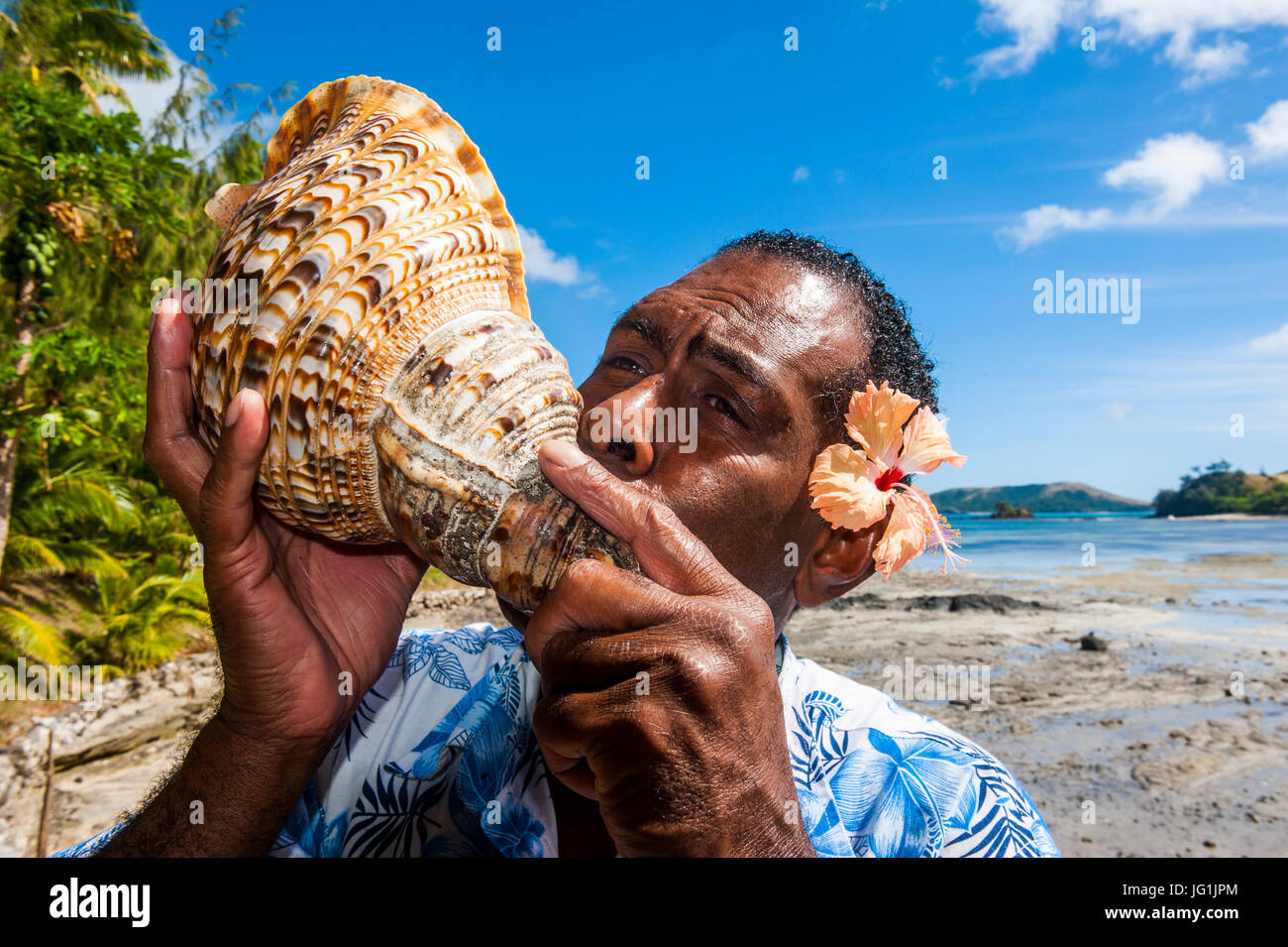 Local fijian man blowing on a huge shell, Safe Landing resort, Nacula ...