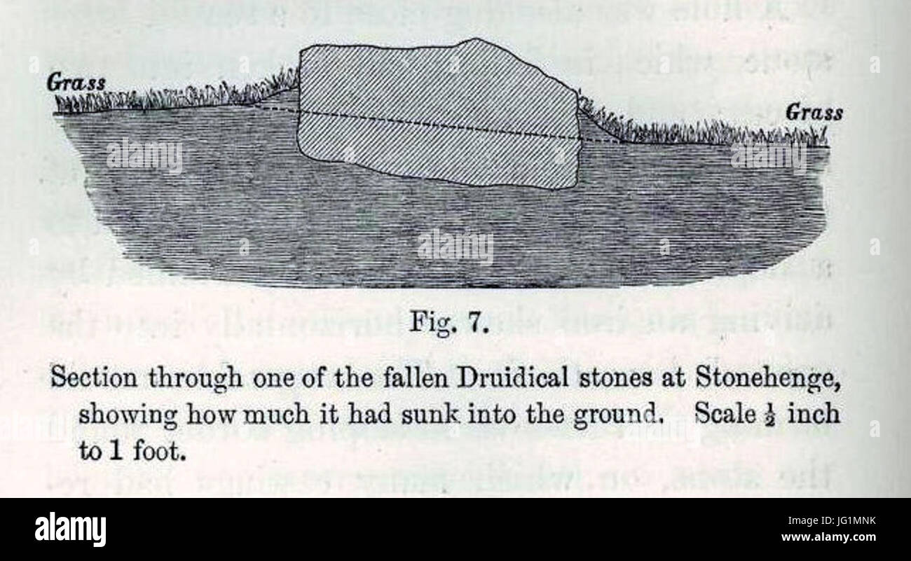Charles darwin drawings hi-res stock photography and images - Alamy