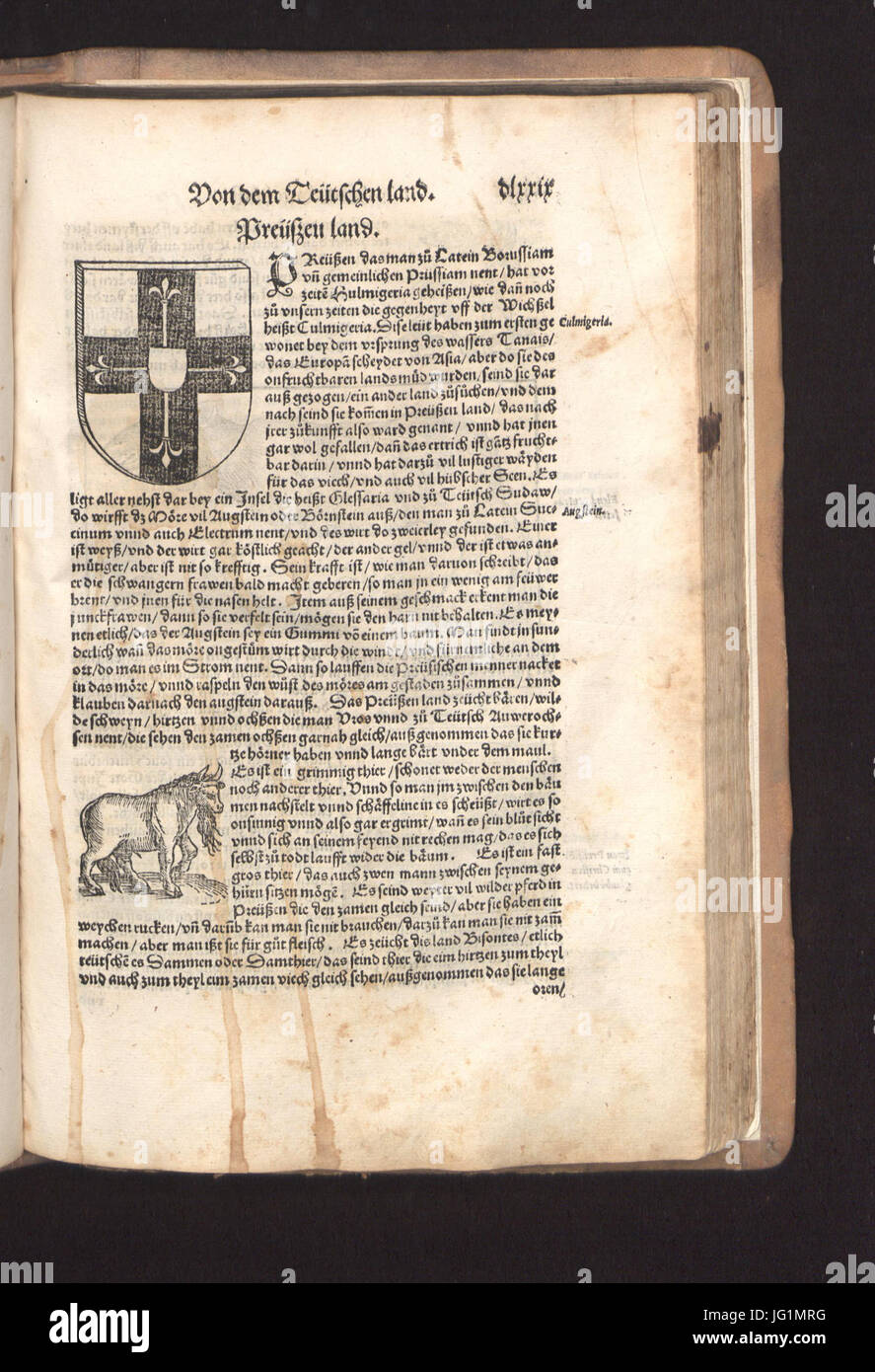 Cosmographia (Sebastian Münster) 579 Stock Photo - Alamy