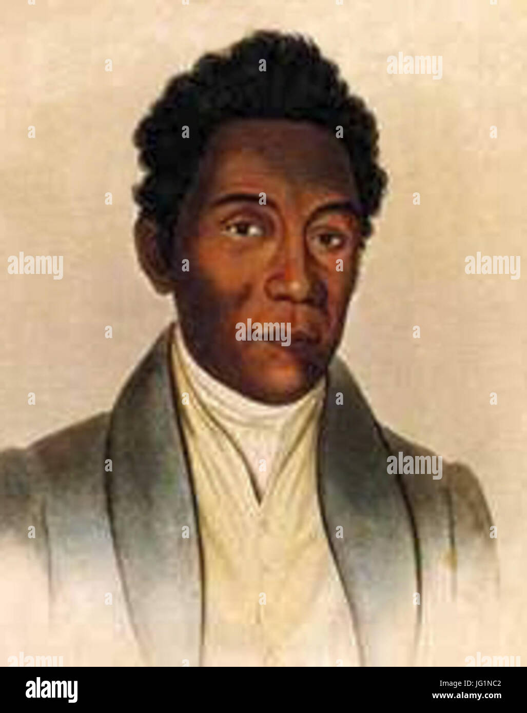 David Malo. A native of the Hawaiian Islands 28color crop29 Stock Photo ...