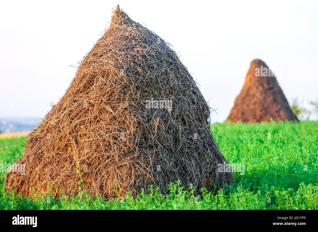 Two haystacks hi-res stock photography and images - Alamy