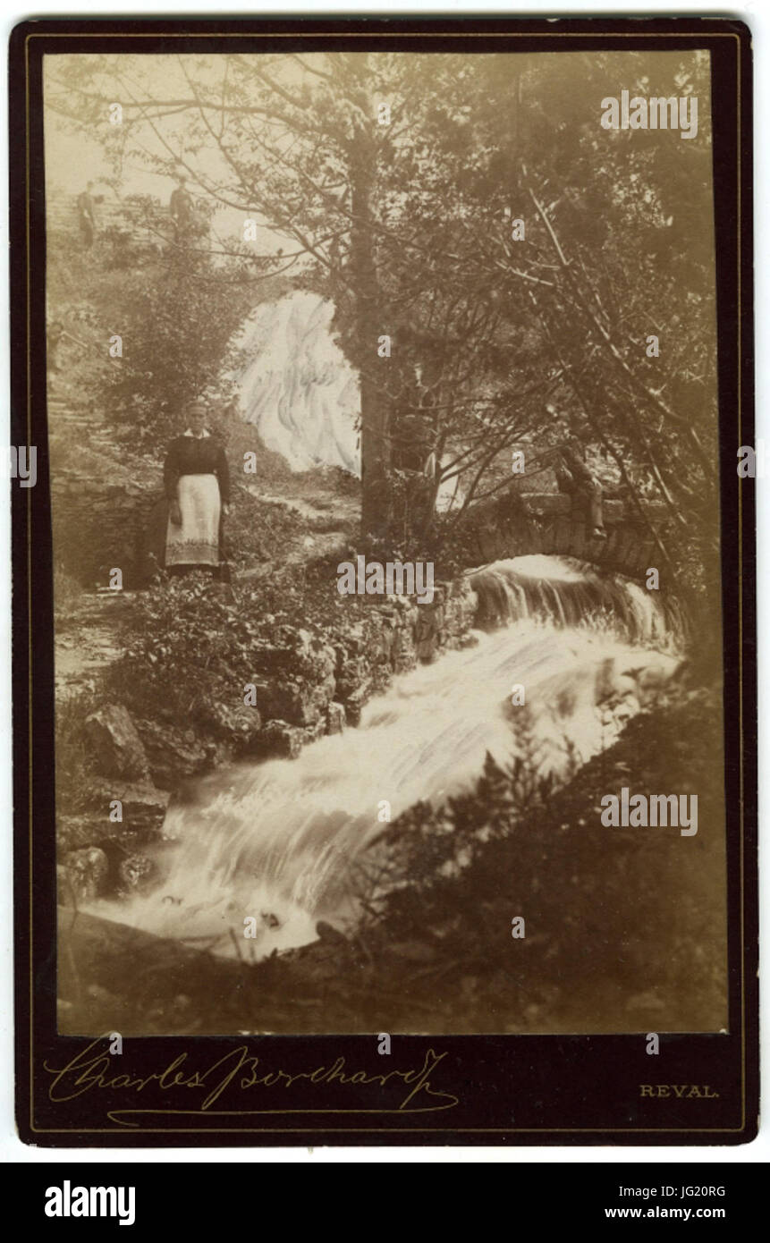 Hundikuristik Kadriorus, vasakul Lasnamäe veerg., AM 8544-7 F 10143 ...