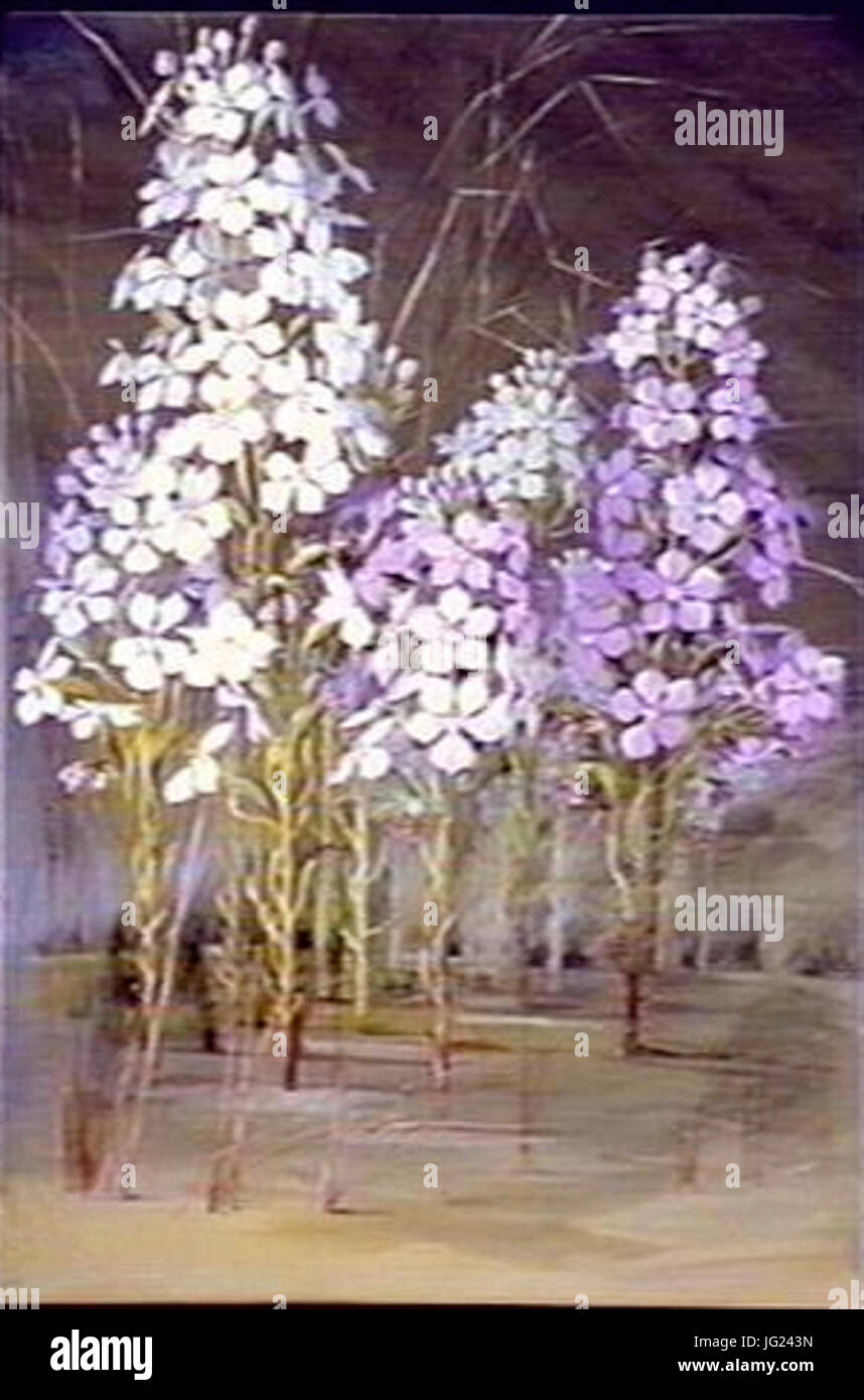 Isotoma hypocrateriformis 28Rowan29 Stock Photo - Alamy