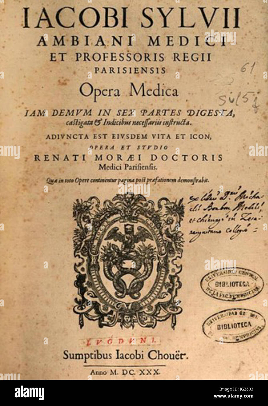 Jacobus sylvius hi-res stock photography and images - Alamy