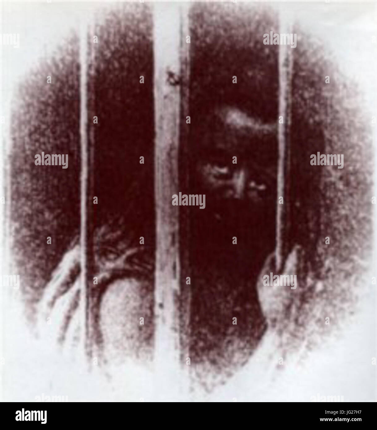 James lucas hi-res stock photography and images - Alamy