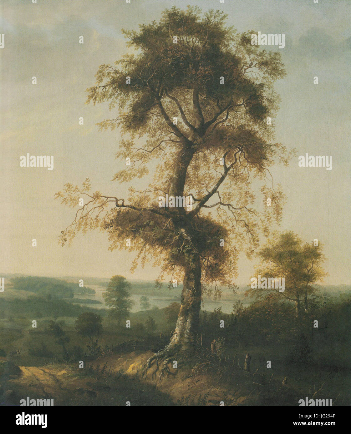 JC Dahl-Bjerk i høstlandskap Stock Photo - Alamy