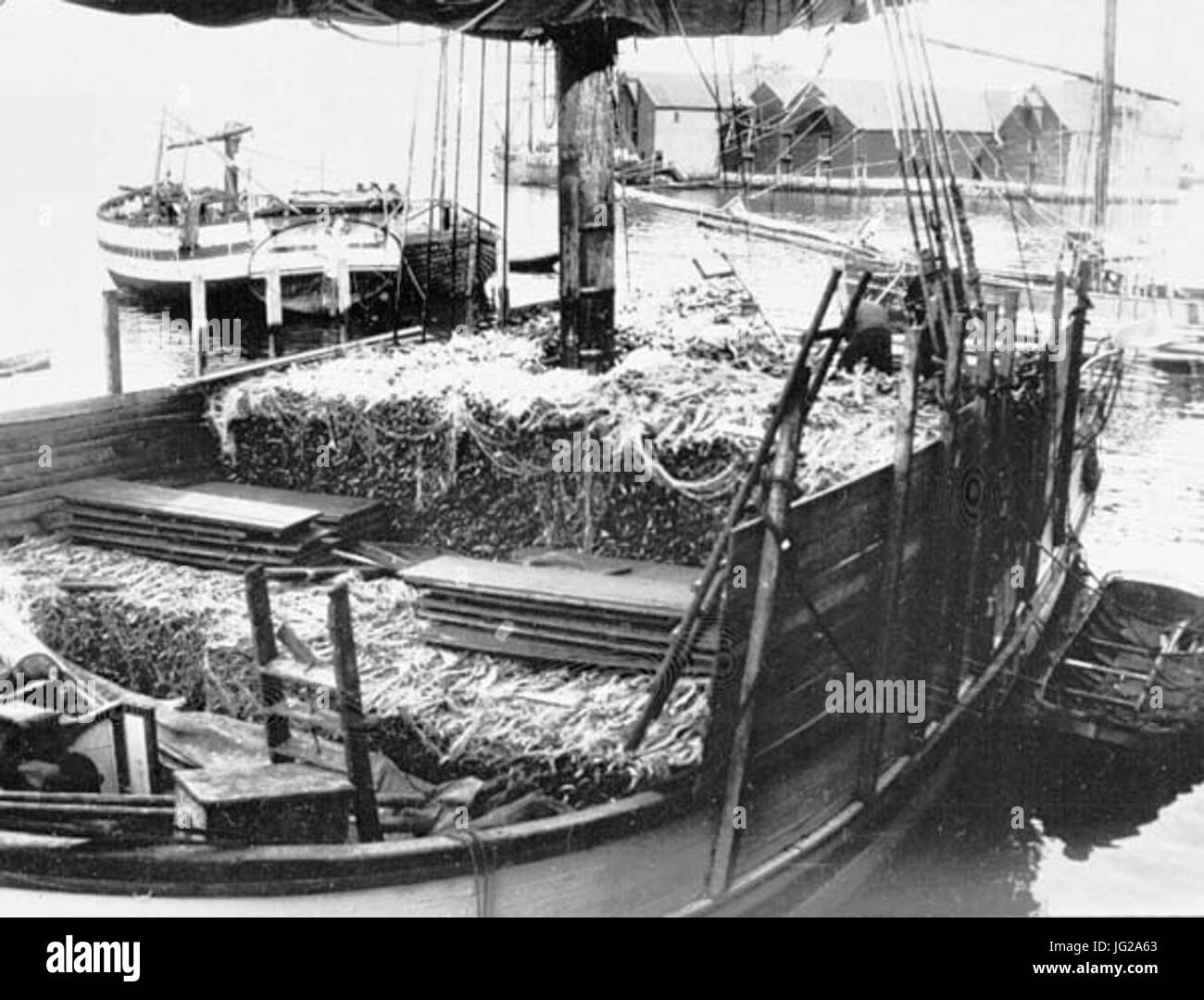 Jekt med tørrfisk Stock Photo - Alamy