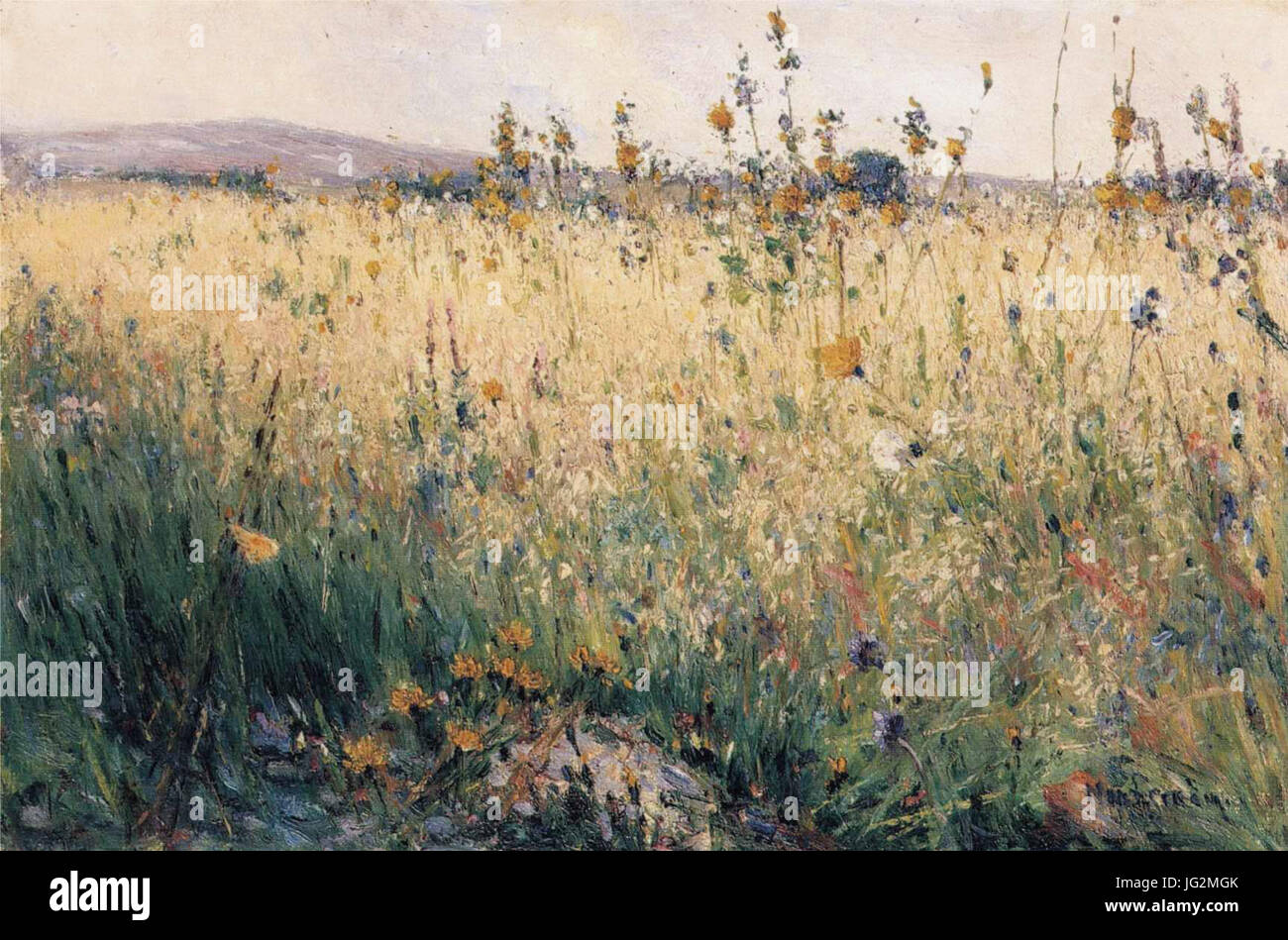 Karl stock field hi-res stock photography and images - Alamy