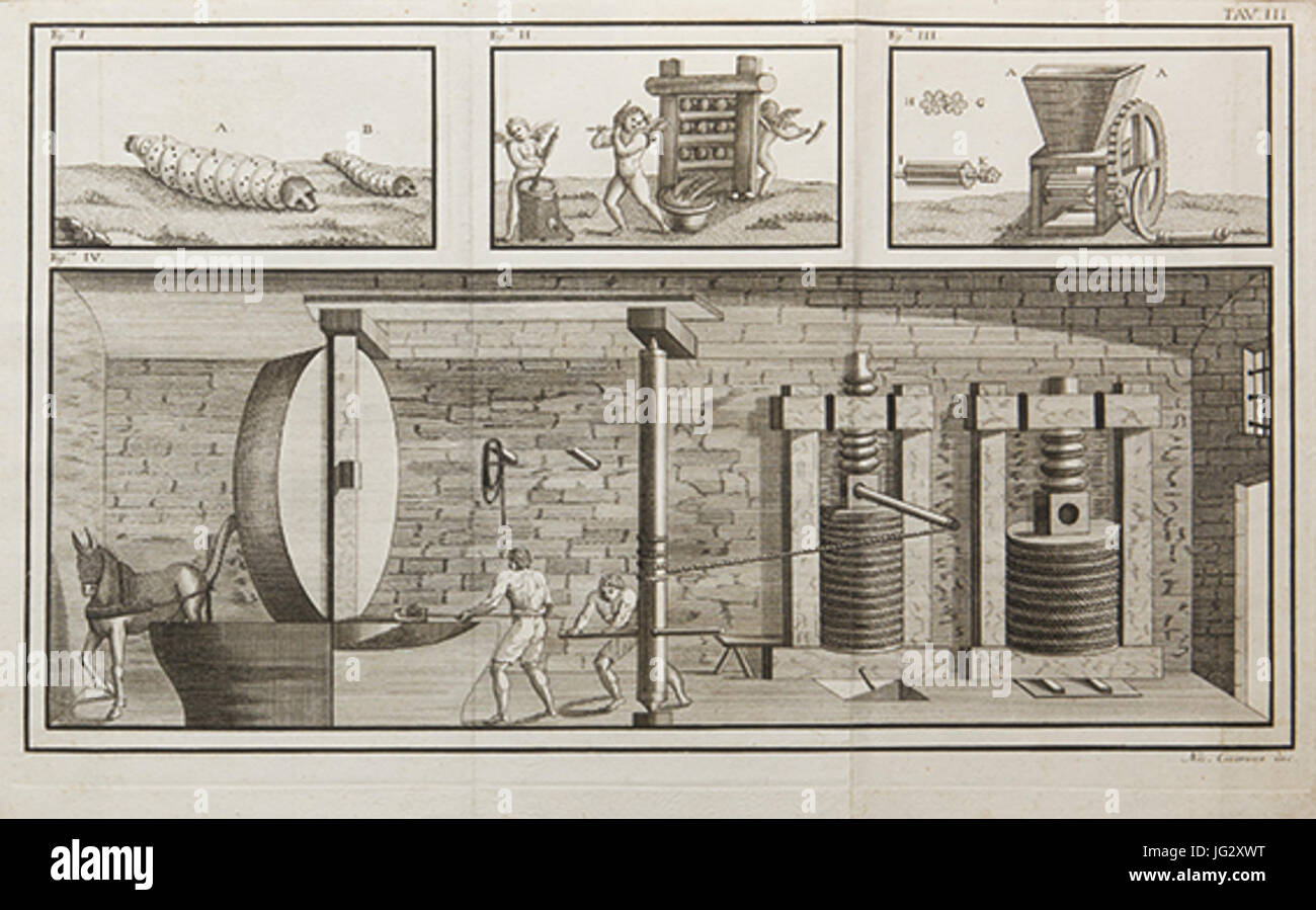 Giovanni Presta’s work discusses olive trees, olive oil production, and ...