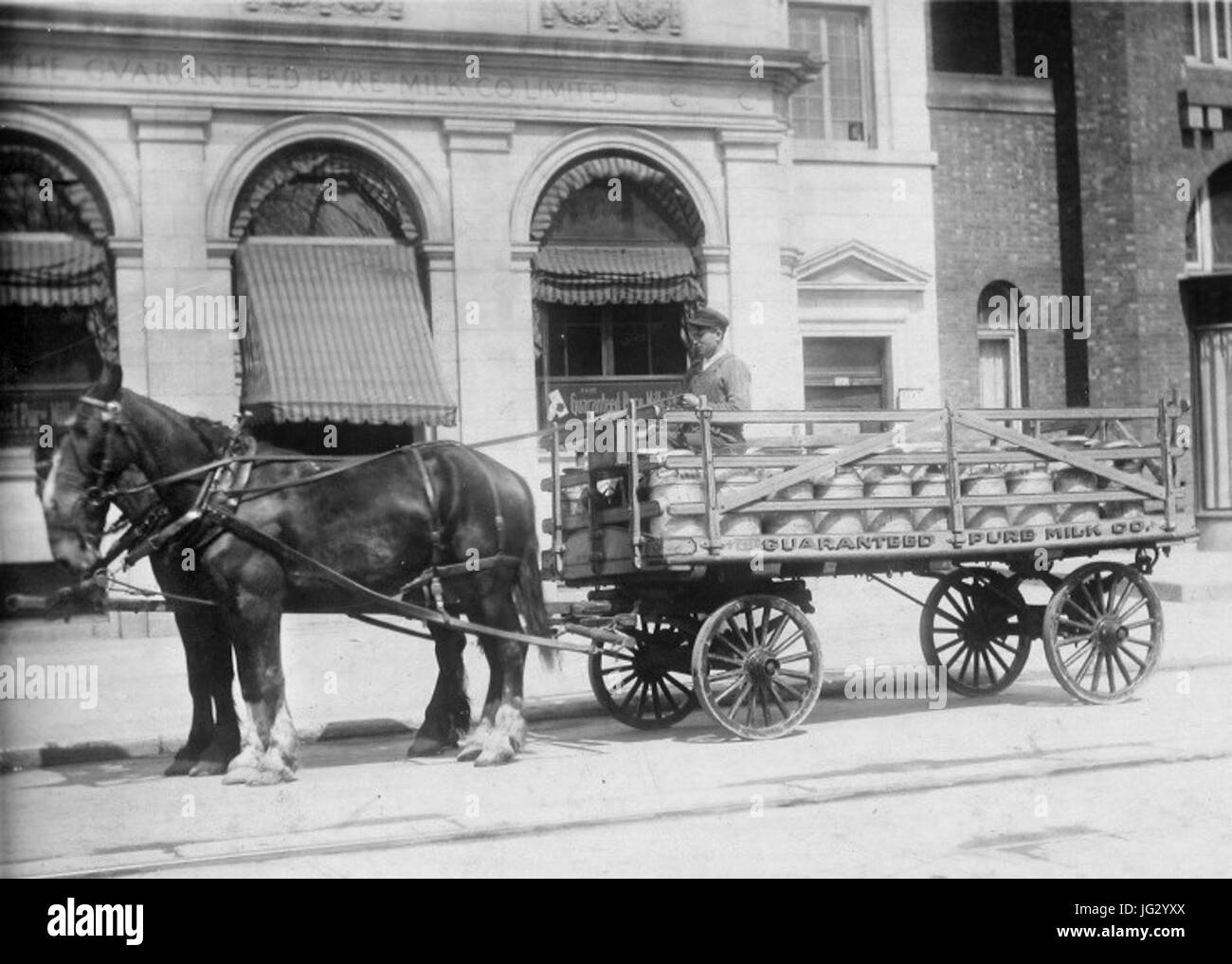 Guaranteed Pure Milk Company delivery wagon Montreal QC about 1910 ...