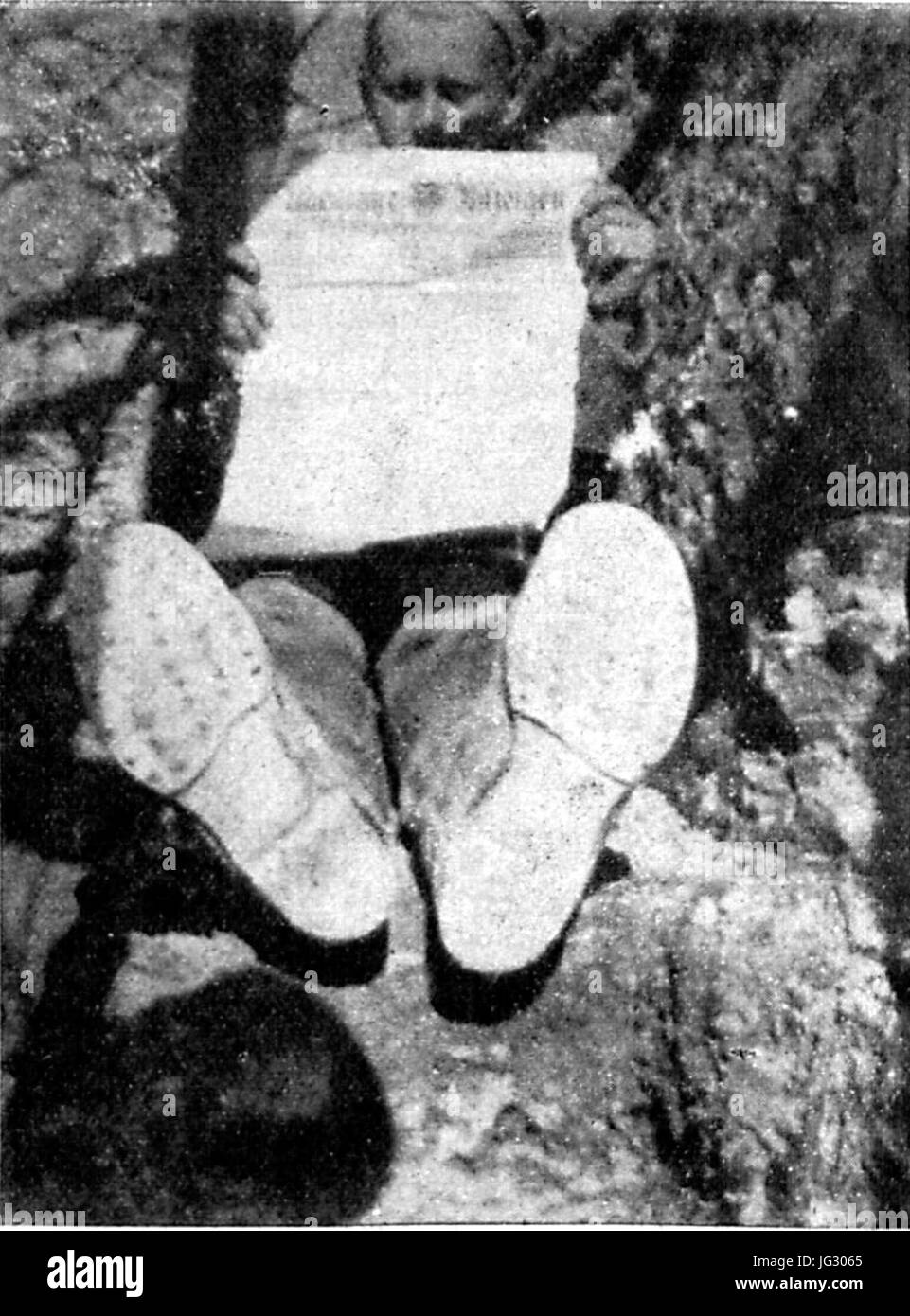 LübA - Aus dem Felde Stock Photo - Alamy