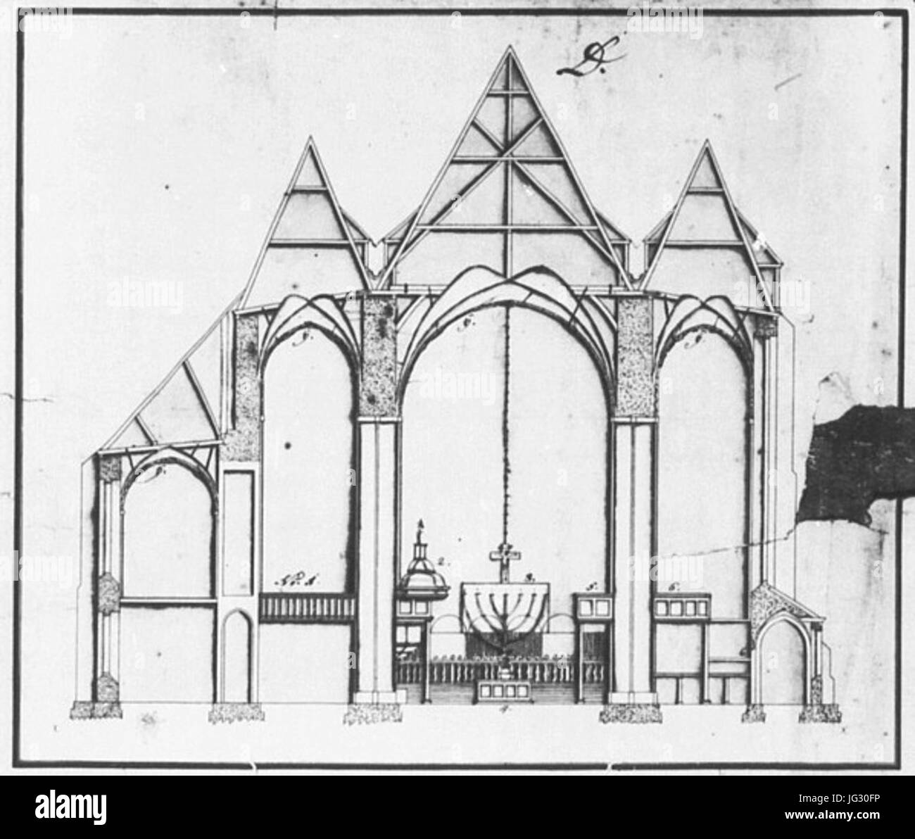 Detail querschnitt hi-res stock photography and images - Alamy