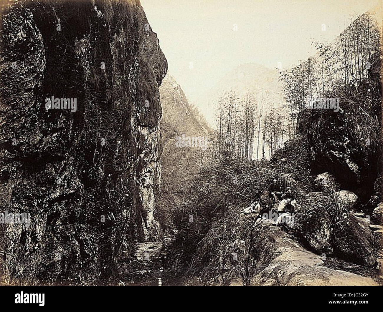 This 1869 photograph by Lai Afong captures a view of The Bankers Glen ...