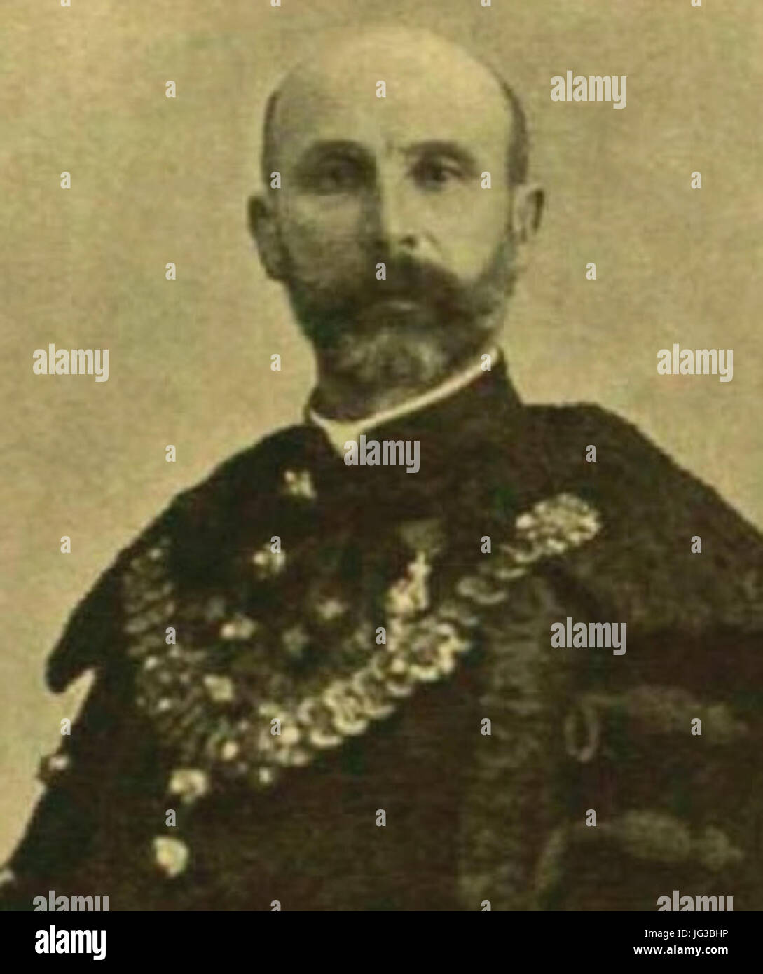 Halmos JơA1nos Erdélyi 28crop29 Stock Photo - Alamy