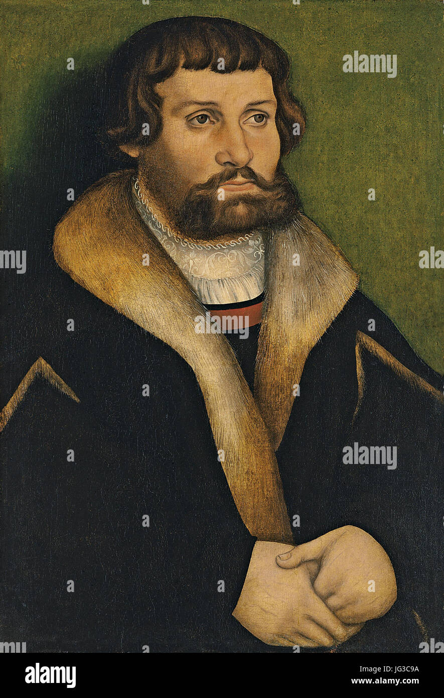 Hans Cranach - Porträt eines bärtigen Mannes Stock Photo - Alamy