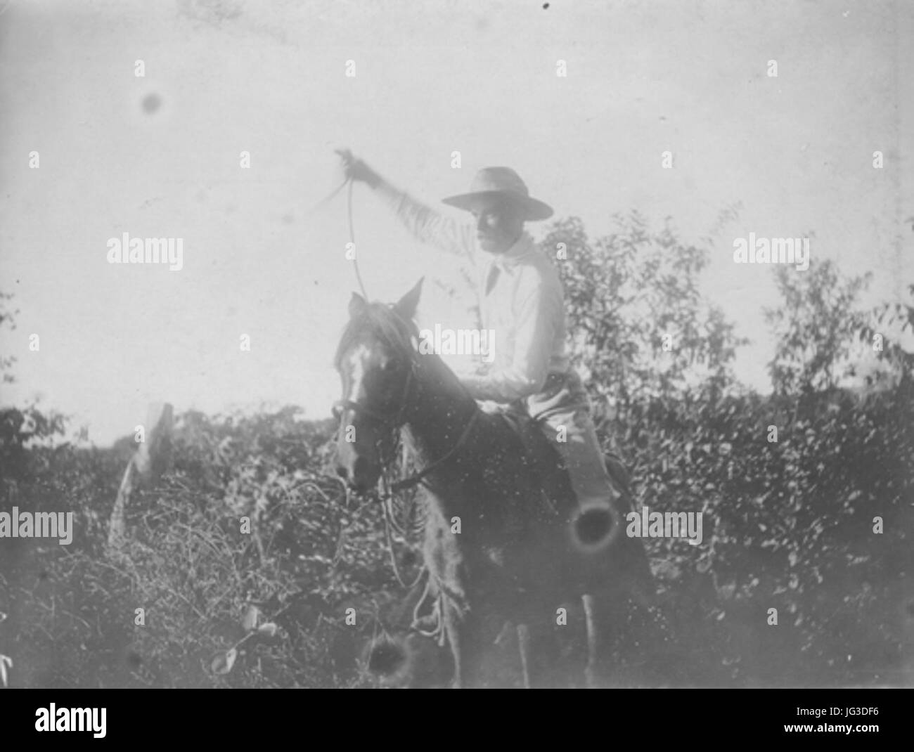 Hawaiian cowboy history hi-res stock photography and images - Alamy