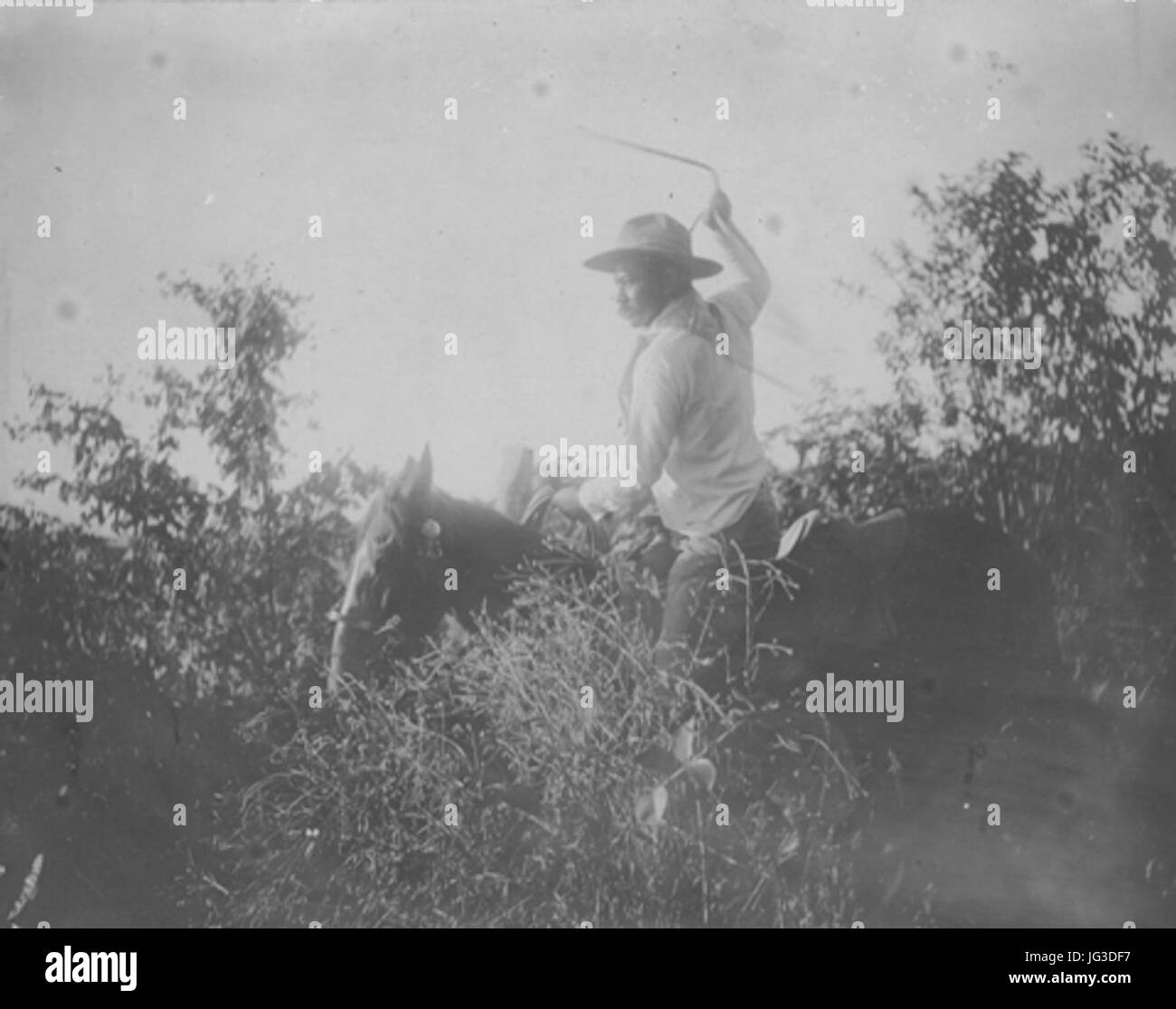 Paniolo hi-res stock photography and images - Alamy