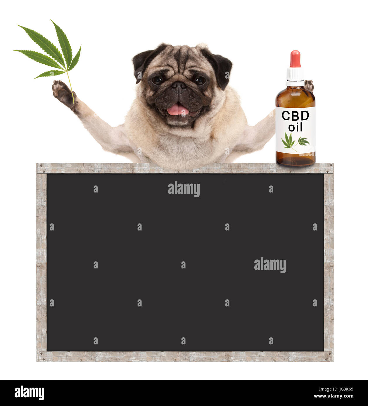 Marijuana dog hi-res stock photography and images - Alamy