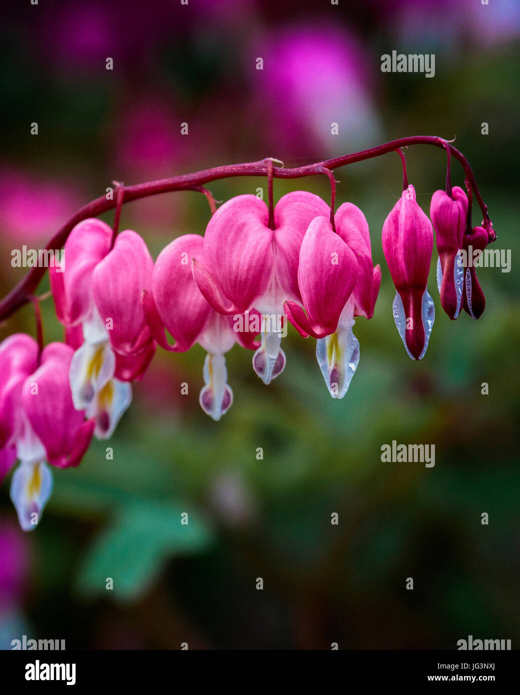 Light is bleeding hi-res stock photography and images - Alamy