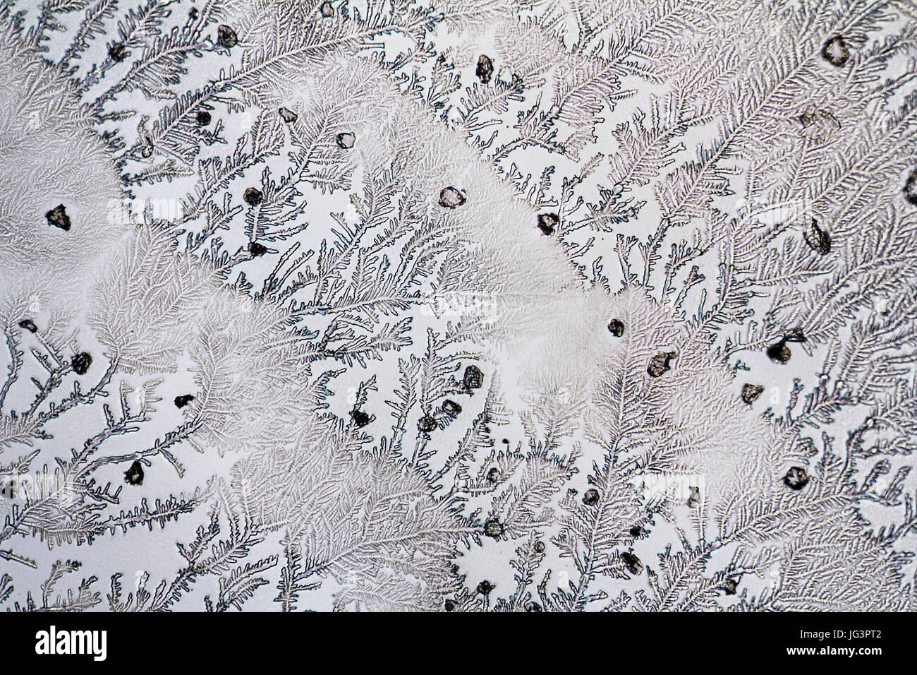 microscopic shot showing a abstract pattern of microcrystals Stock ...