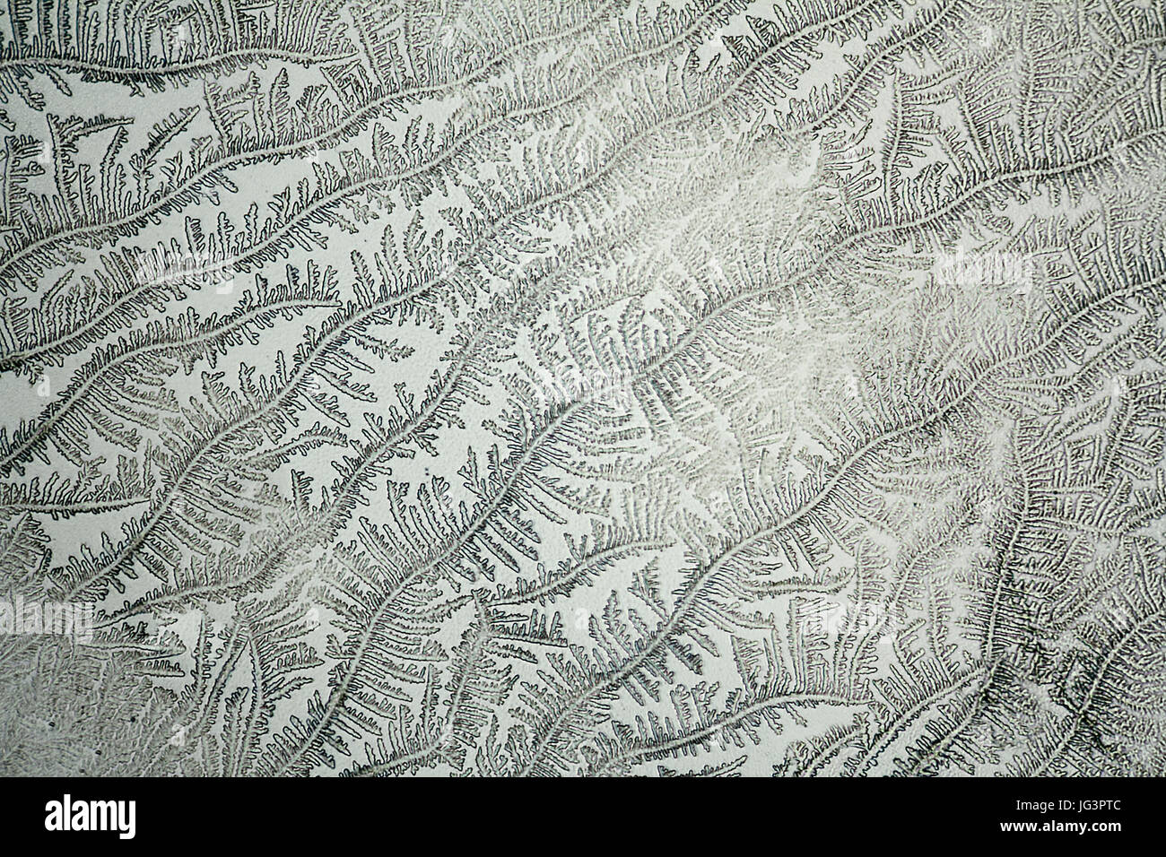 microscopic shot showing a abstract pattern of microcrystals Stock ...