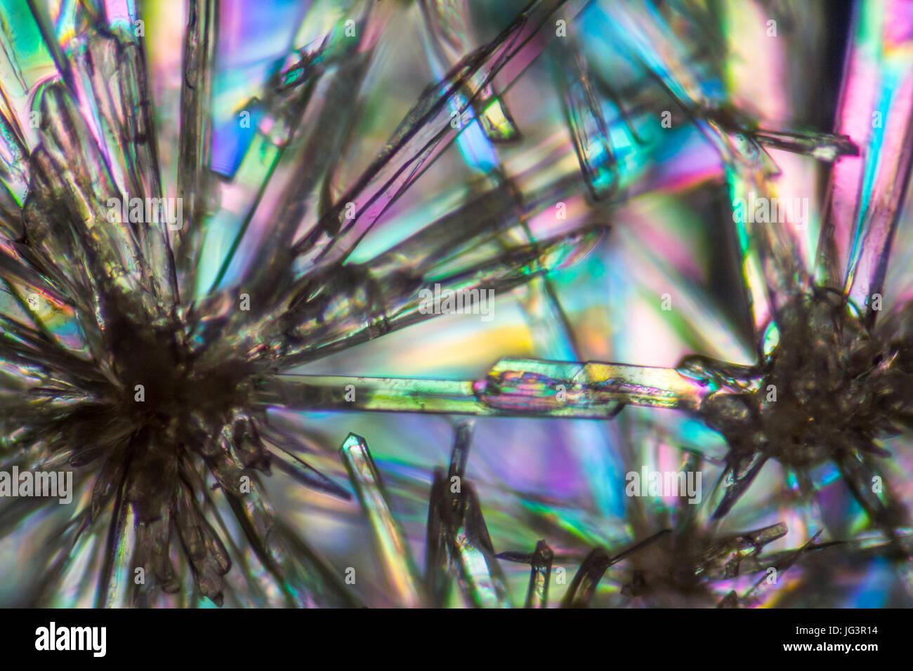 Polarized light microscopy hi-res stock photography and images - Alamy