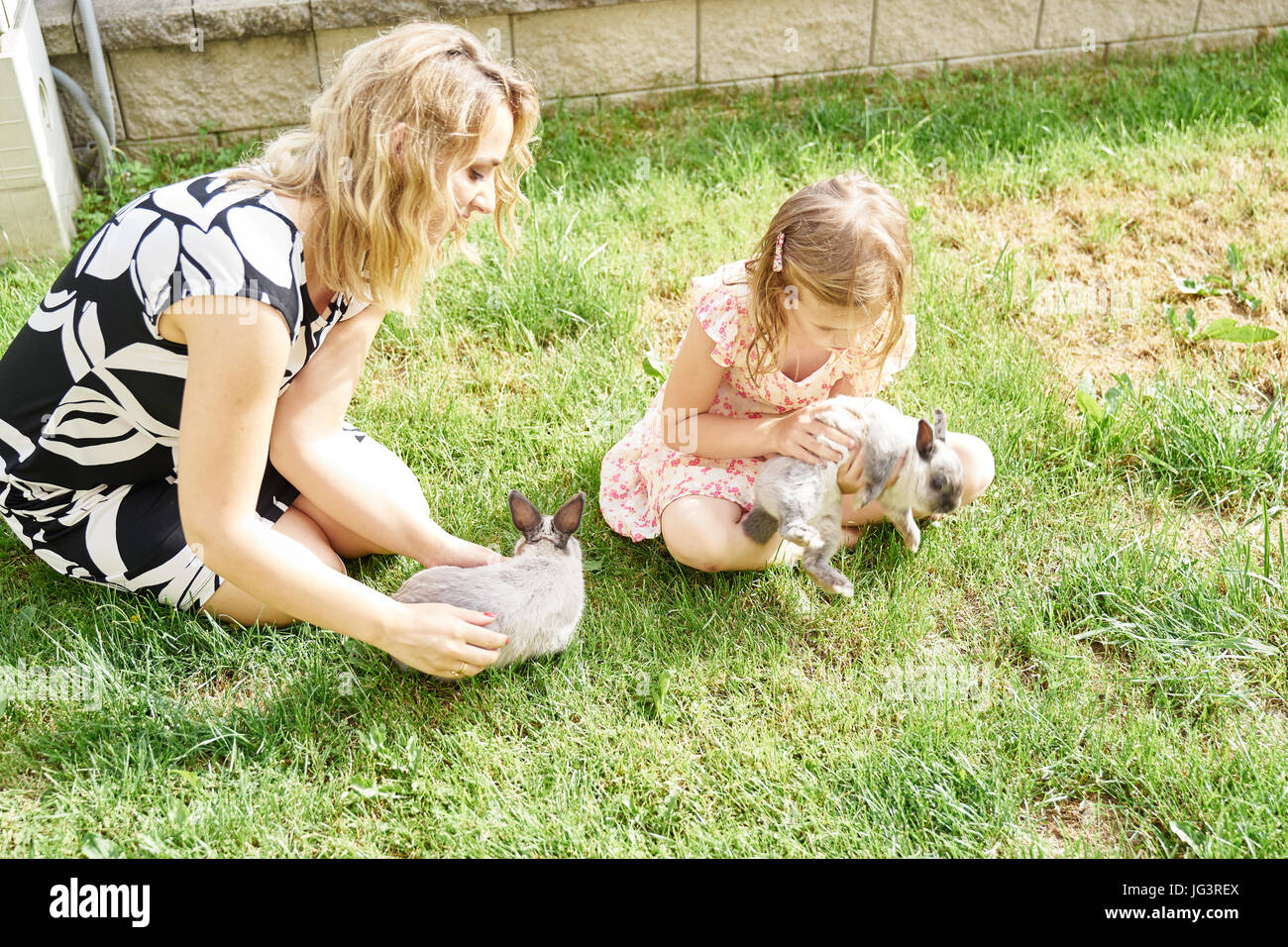 Family Of Rabbits High Resolution Stock Photography and Images - Alamy