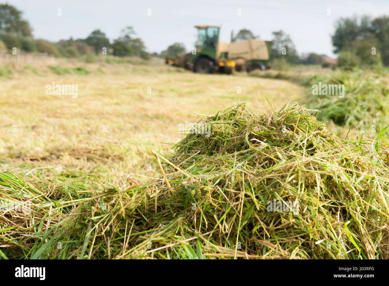Wide angle close-up freshly mown hay with blurred hay machine in the ...