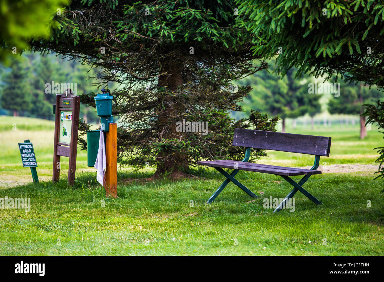 Hidden bench in the shadows of pine trees Stock Photo - Alamy